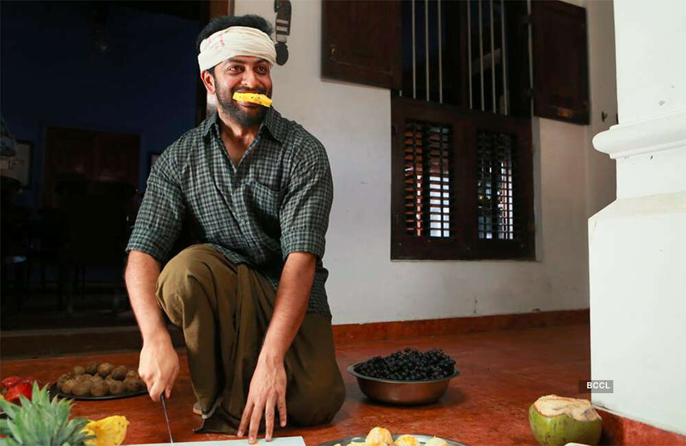 Pavada Movie User Reviews & Ratings | Pavada (2016) | Times Of India