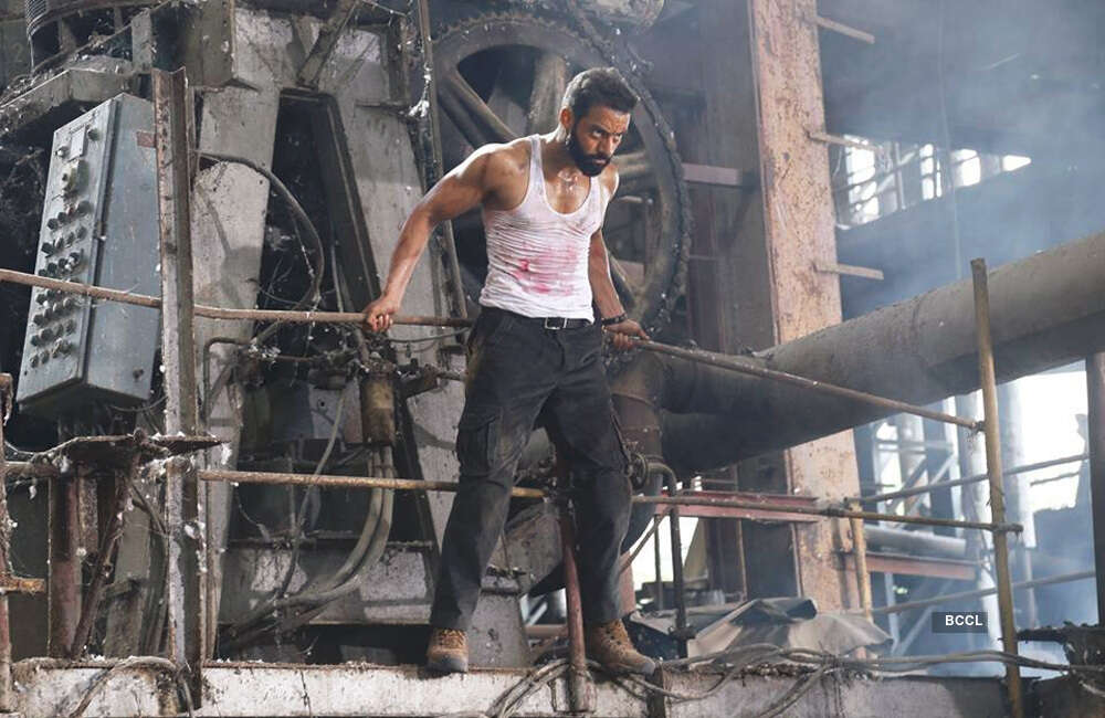 Tiger Movie User Reviews & Ratings | Tiger (2016) | Times Of India