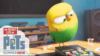 The Secret Life of Pets - Meet Sweet Pea (HD) - Illumination