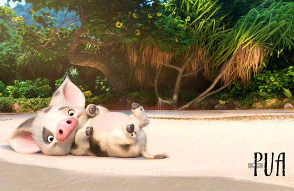 Moana Movie User Reviews & Ratings | Moana (2016) | Times Of India