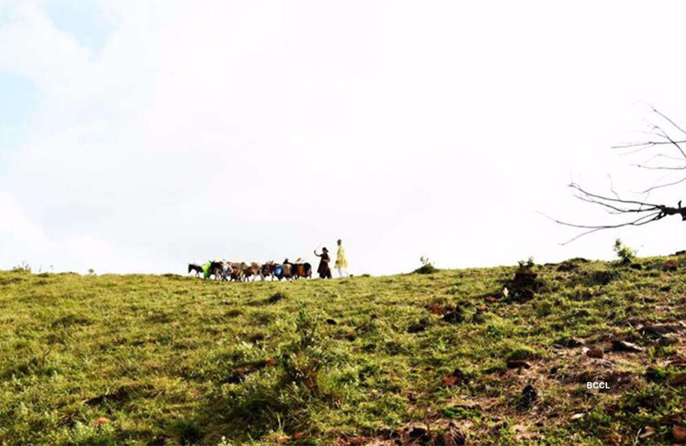 Suli Movie User Reviews & Ratings | Suli (2016) | Times Of India