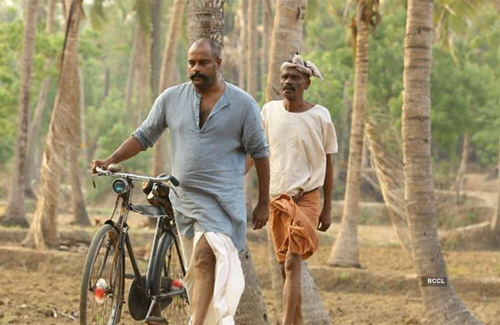 Kaattu Movie User Reviews & Ratings | Kaattu (2017) | Times Of India