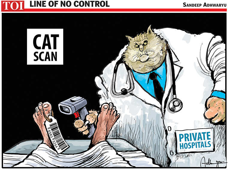 CAT Scan