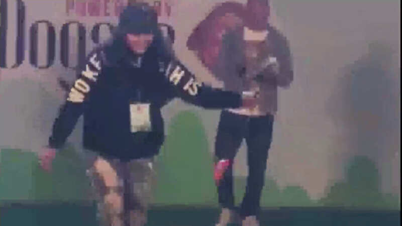 Pet Fed 2017: Furry fashionistas hit the runway!