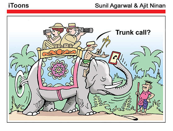 Trunk Call
