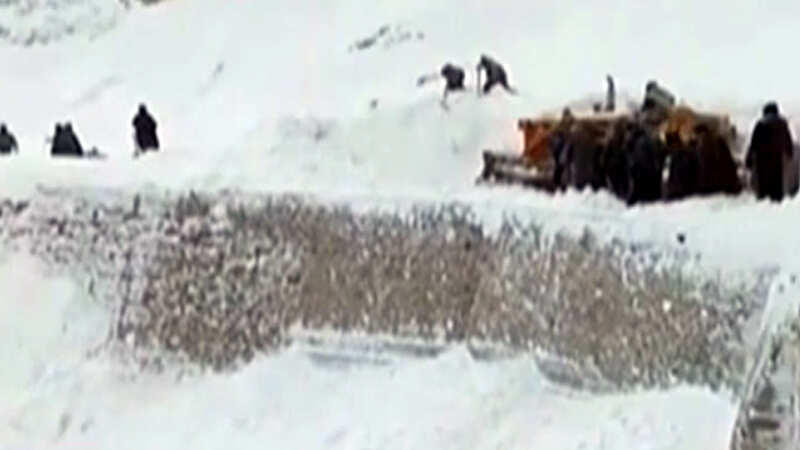 North Kashmir avalanche: Death toll rises to 9, rescue operation underway