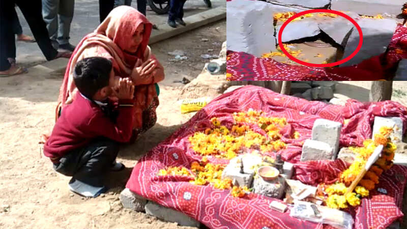 Mysterious snake attracts devotees at this makeshift temple