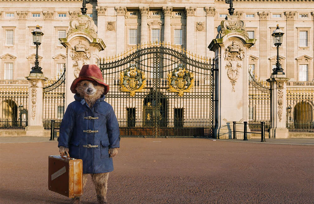 Paddington Movie User Reviews & Ratings | Paddington (2015) | Times Of ...