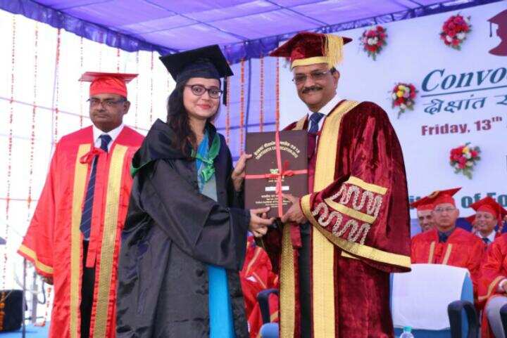 Indian Institute of Forest Management: Students toss their hats in joy ...