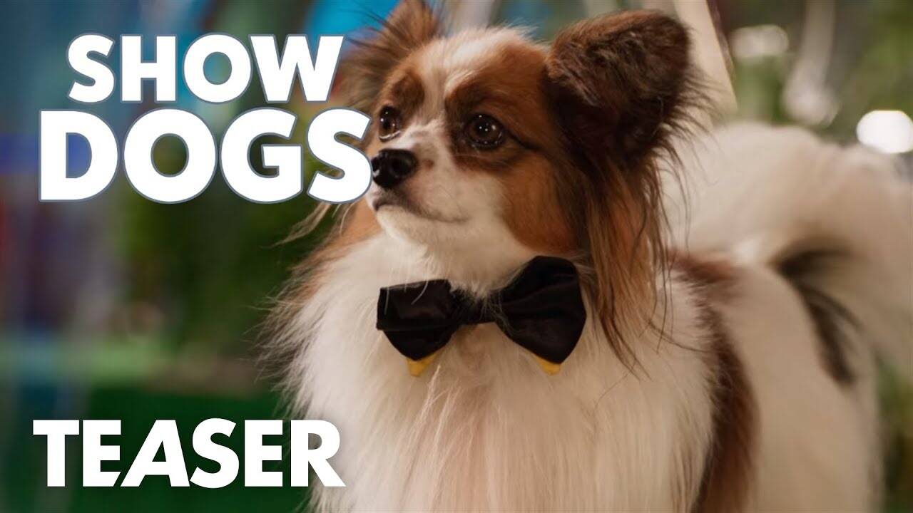 Show Dogs - Official Teaser