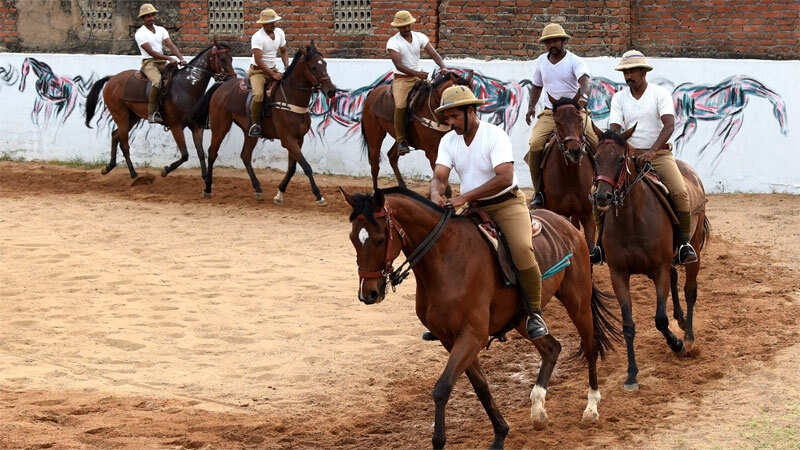 Chennai: 21 new horses inducted into Mounted Police unit