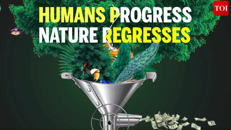 As humans have progressed, nature's regressed