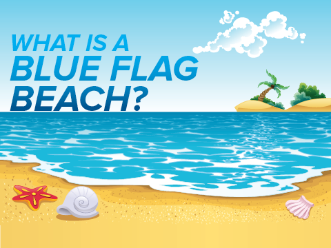 Infographic: Chandrabhaga beach gets Blue Flag tag, here's what it ...
