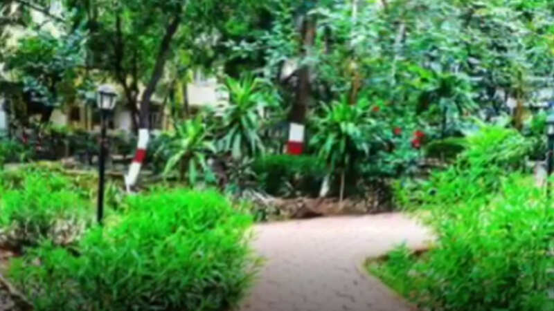 Bandra residents reduce carbon footprints, create eco-friendly garden