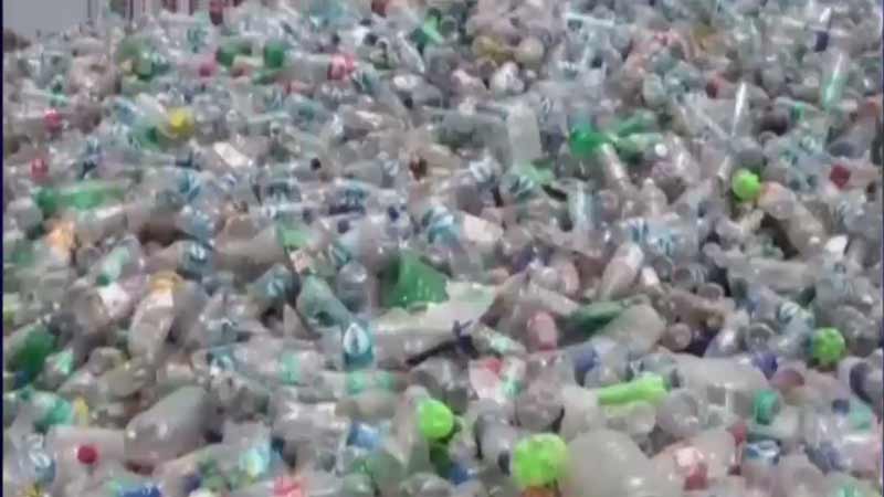 Watch: Plastic bomb at wetland in Gurugram