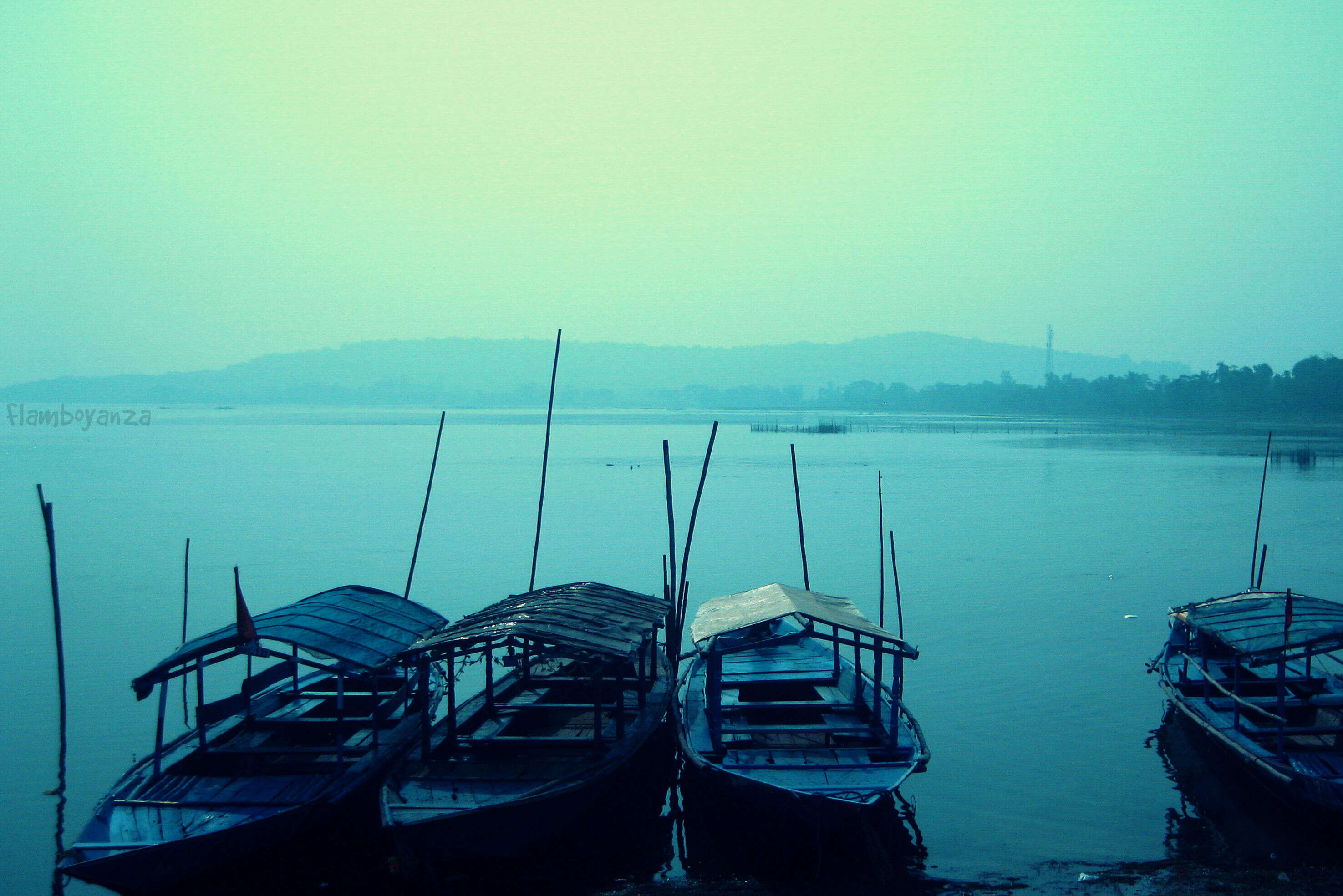 Debjharan in Odisha is soon to become an ecotourism site | Times of ...