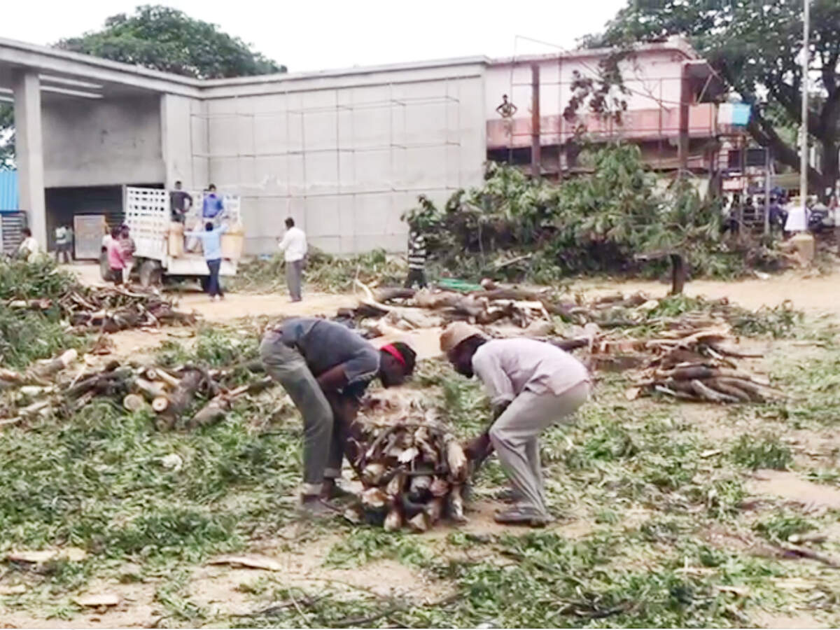 Trees hacked to improve hoarding visibility in Karnataka's Varthur