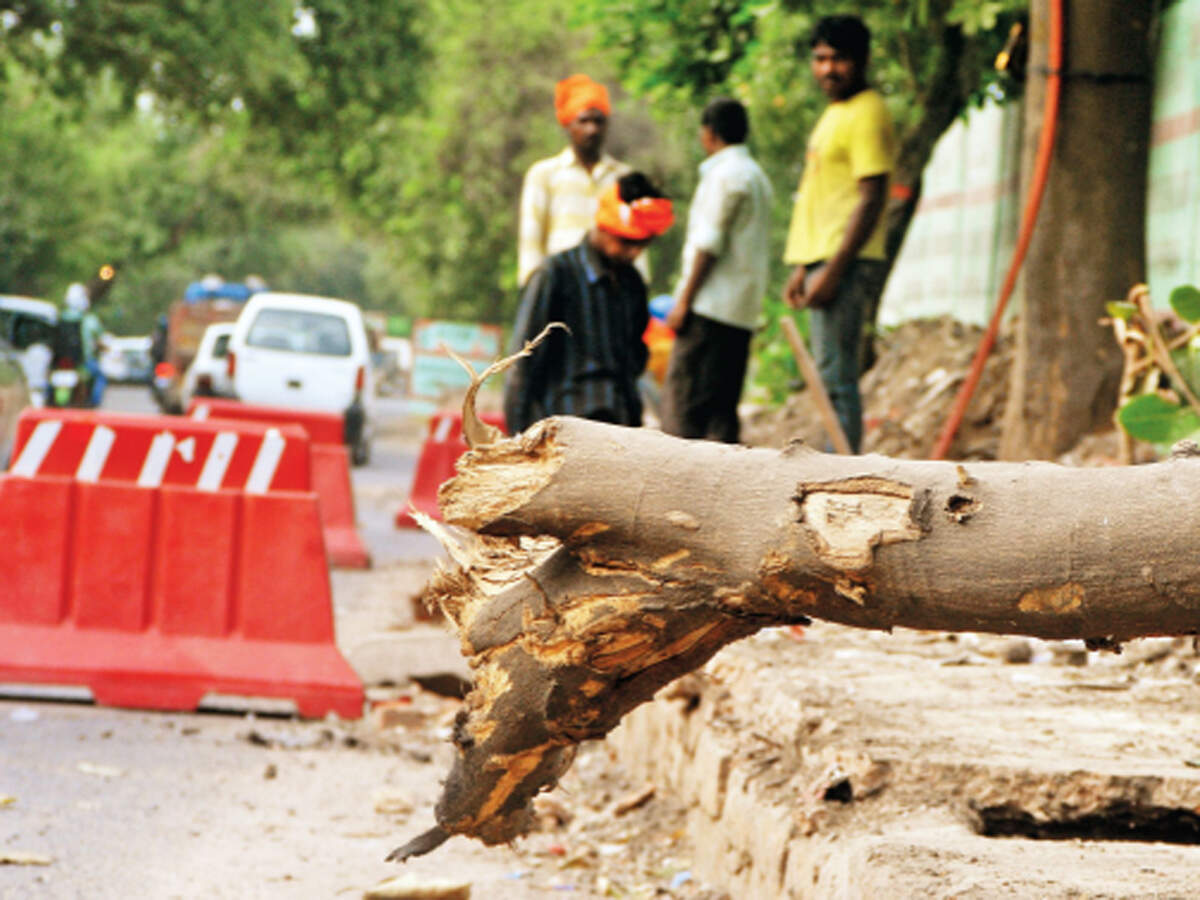 No tree felling for south Delhi project: Centre