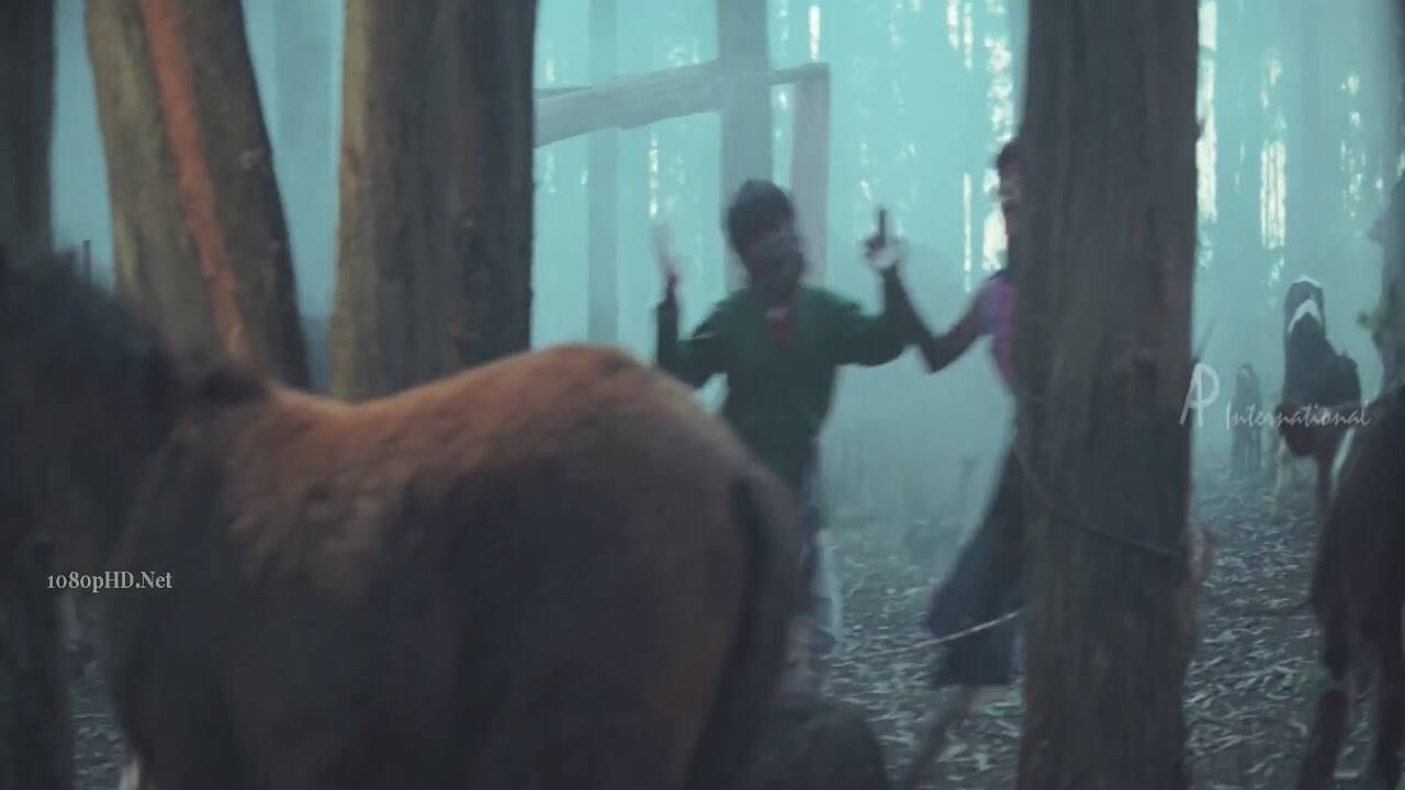 Bombay | Song - Kuchi Kuchi Rakkamma