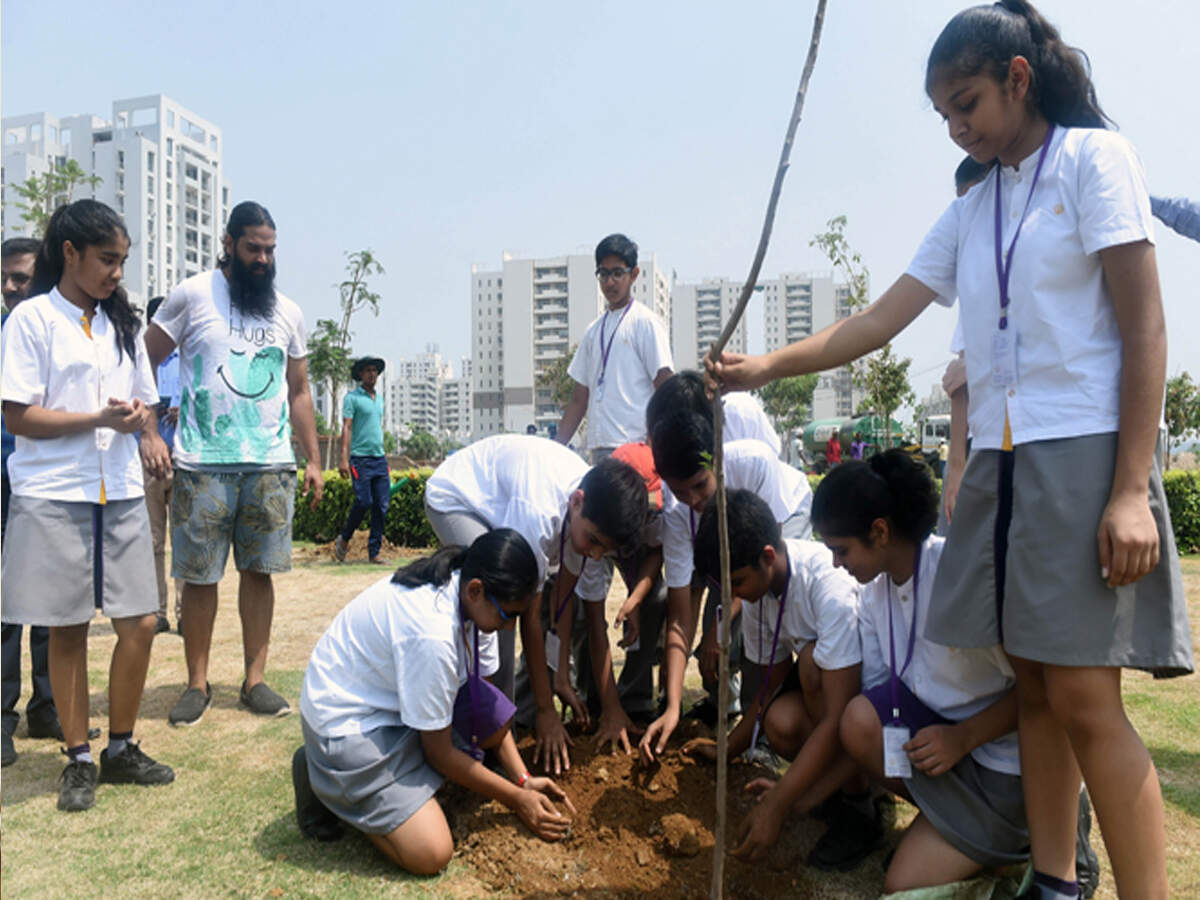 Massive tree plantation drive launched in Gurgaon