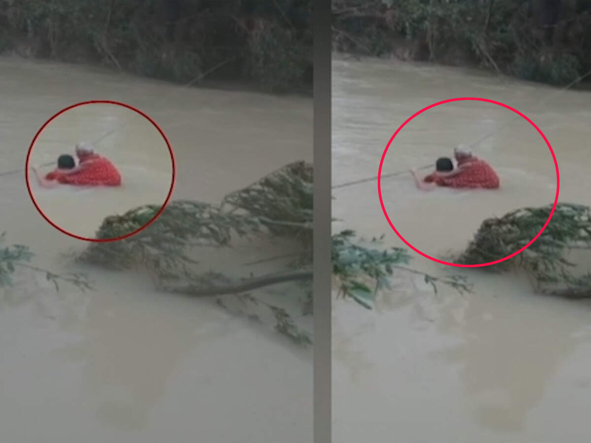 Watch: Dramatic rescue of senior citizen stranded in flood waters