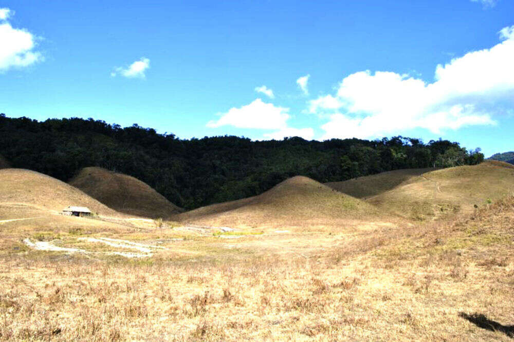 Exploring Tamenglong in Manipur, aka the Land of Hornbill, Manipur ...