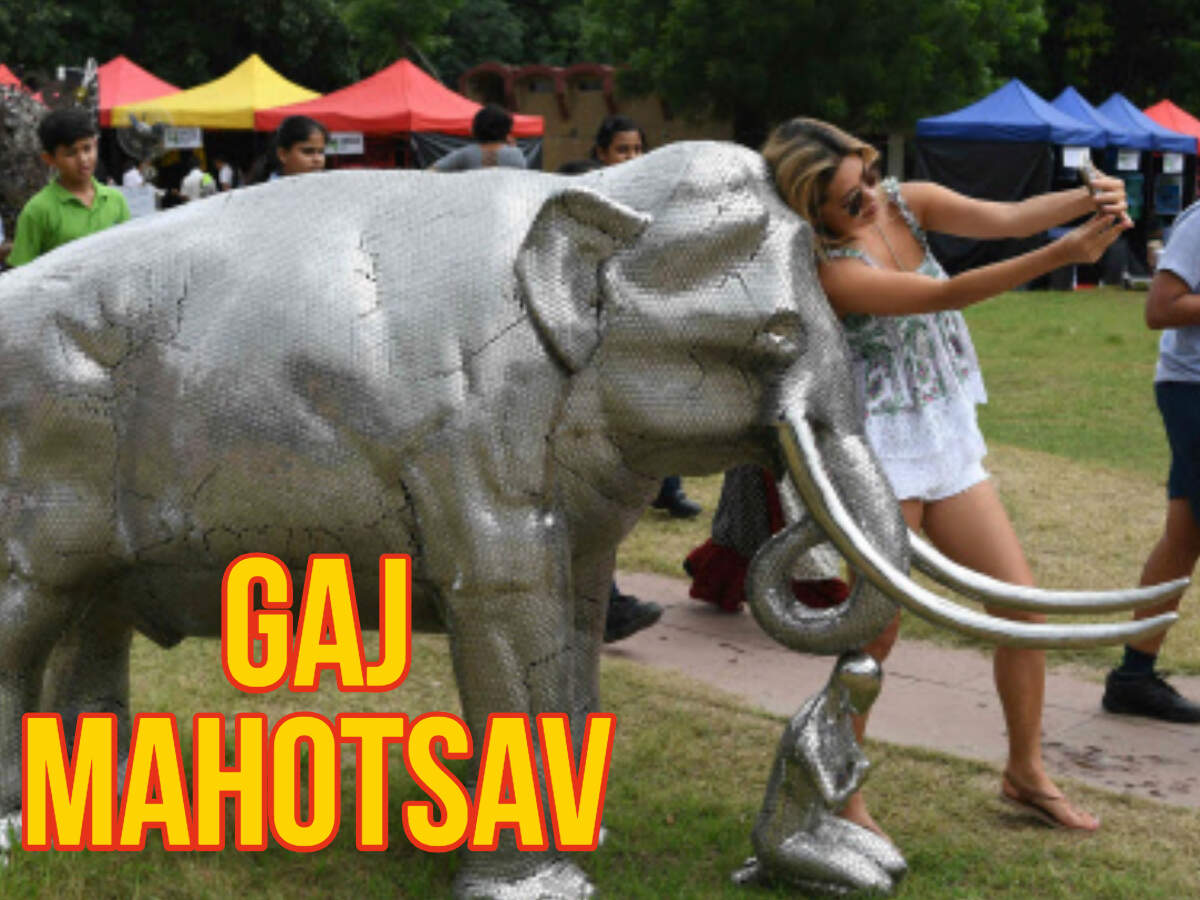 Visit India's first Gaj Mahotsav held at the Indira Gandhi National ...