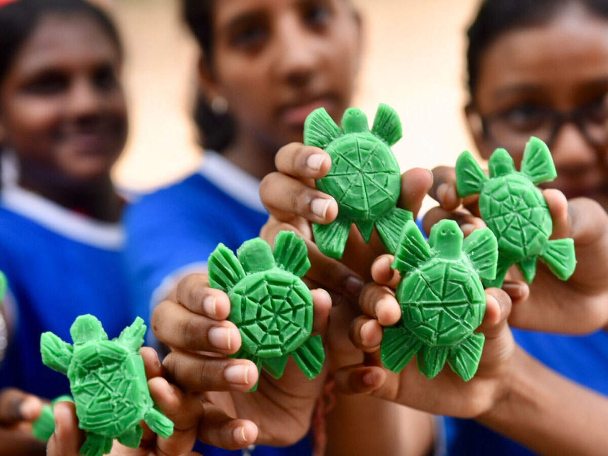 Soap carving competition to create awareness about saving turtles