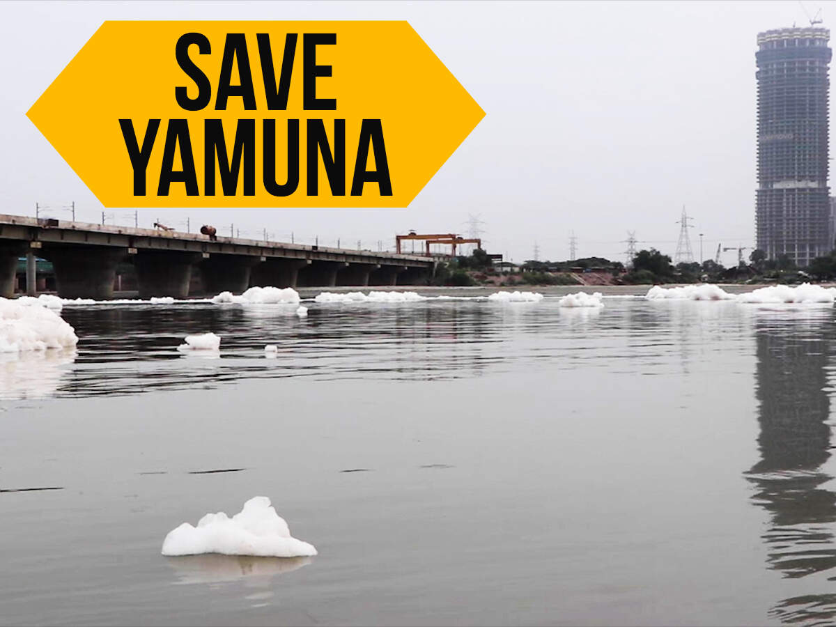Janmashtami 2018: Why we should pledge to save the Yamuna river