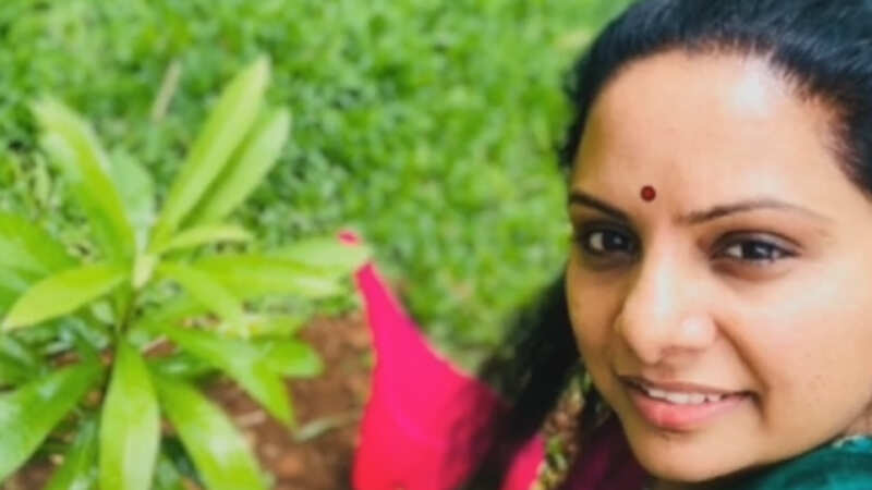 Here's who took up the Haritha Haram challenge in TFI lately!