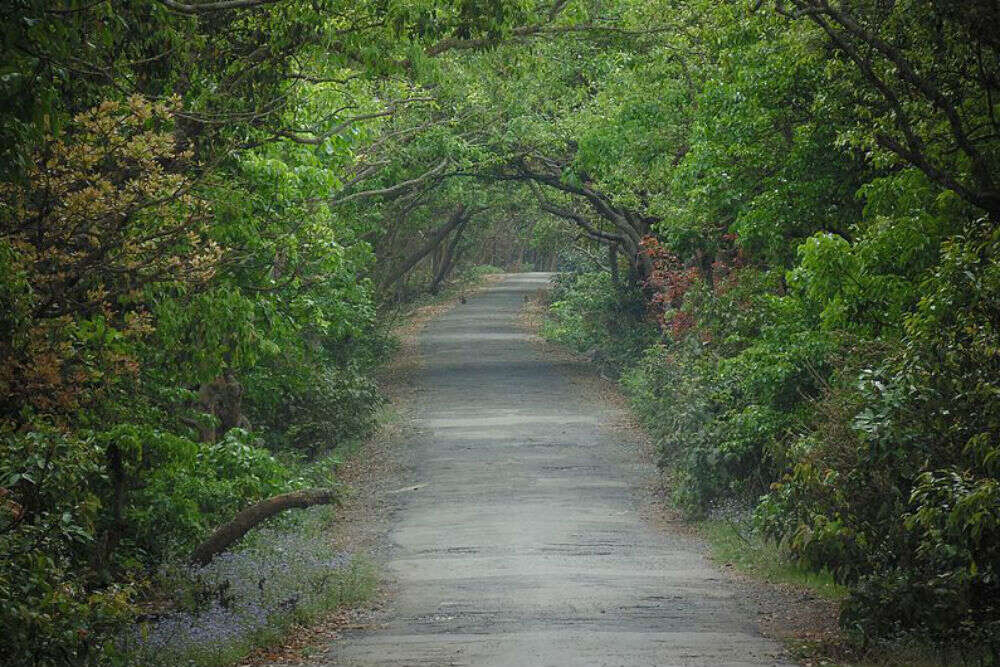 Chuka Beach in Uttar Pradesh is India’s unsung tourist destination ...