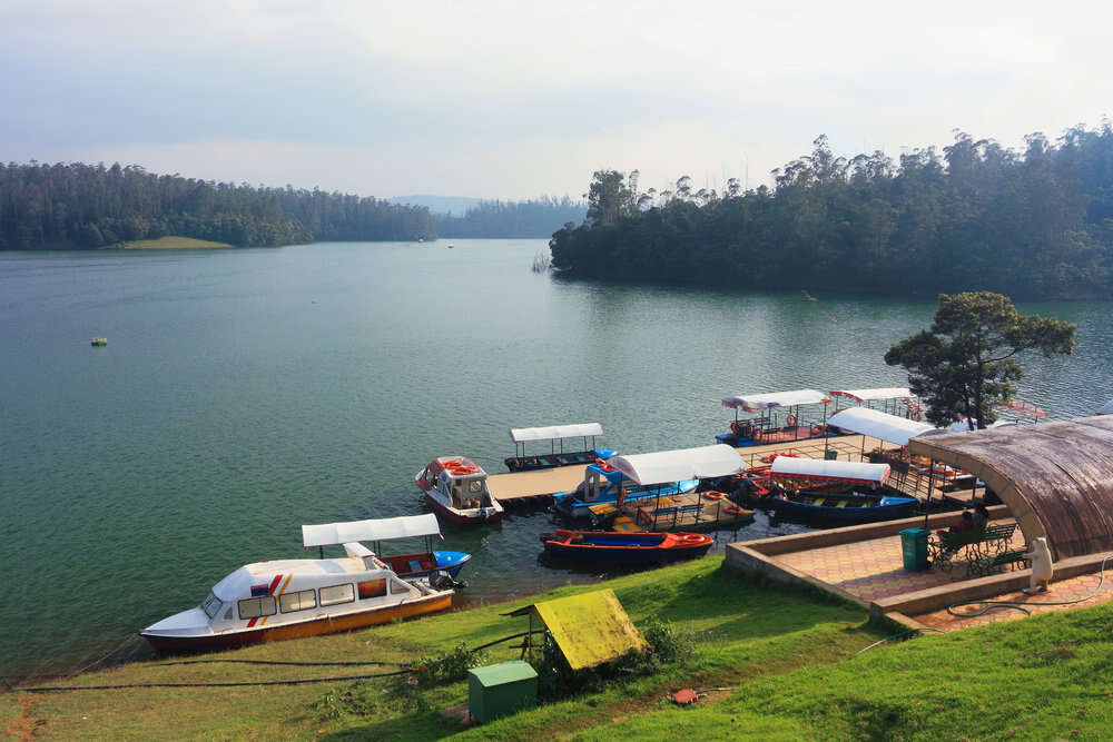 All about Avalanche Lake in Ooty, a nature’s paradise, Ooty - Times of ...