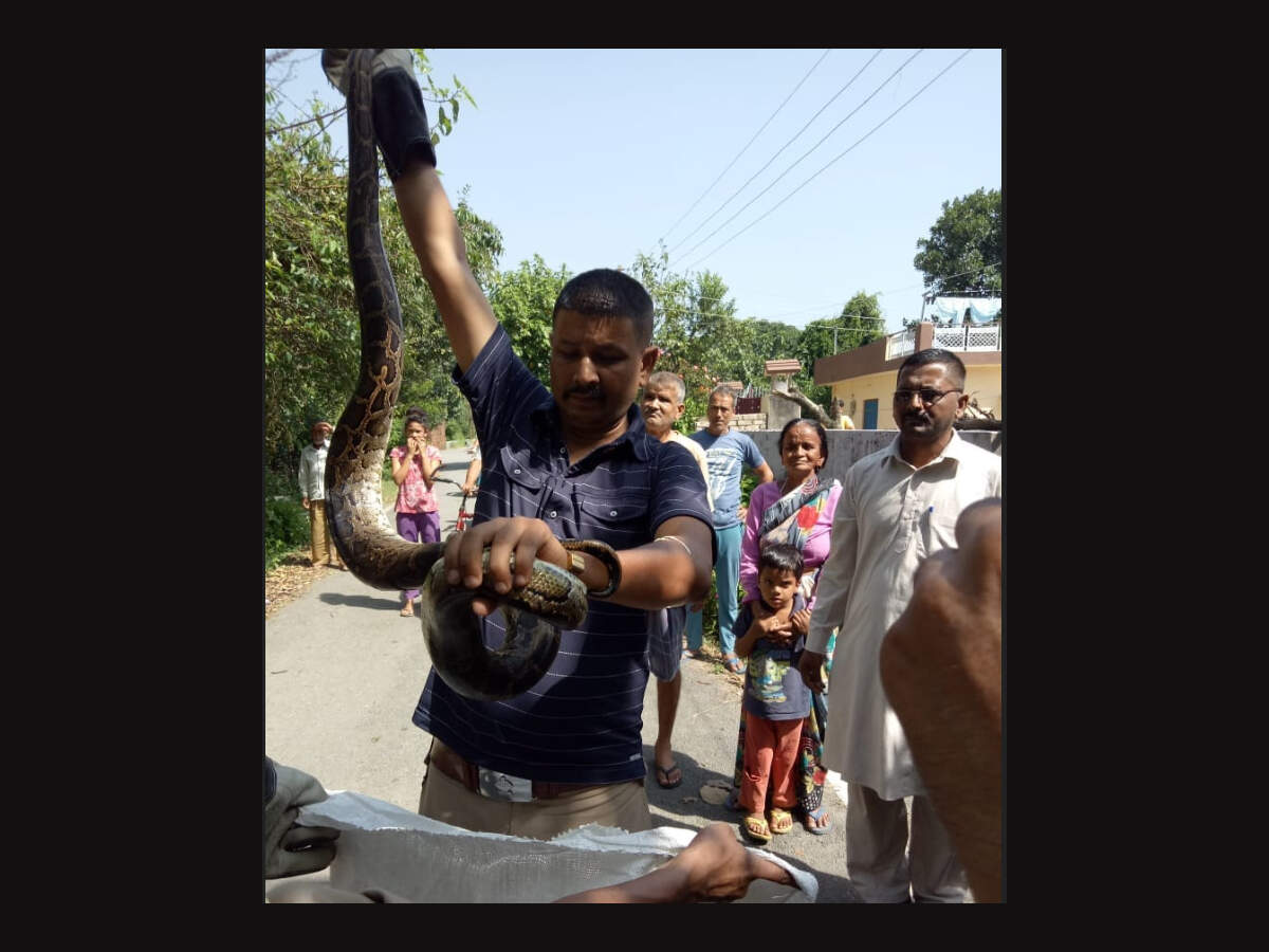 Uttarakhand: 9-feet-long python rescued in Dehradun