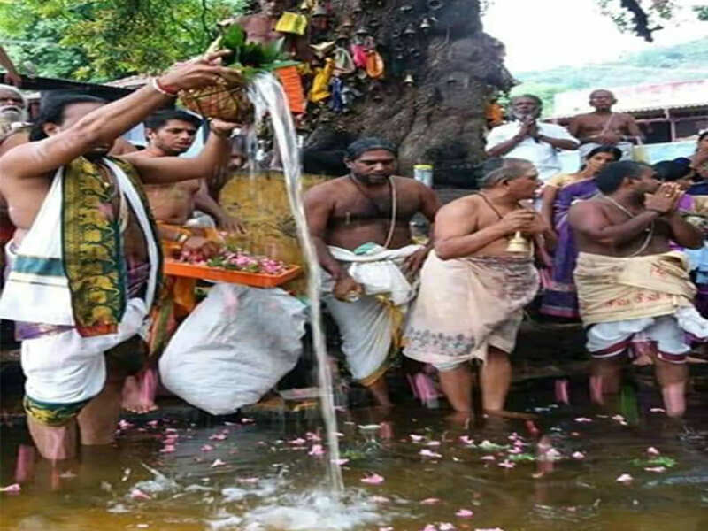 Thamirabarani Maha Pushkaram from Thursday | Madurai News - Times of India