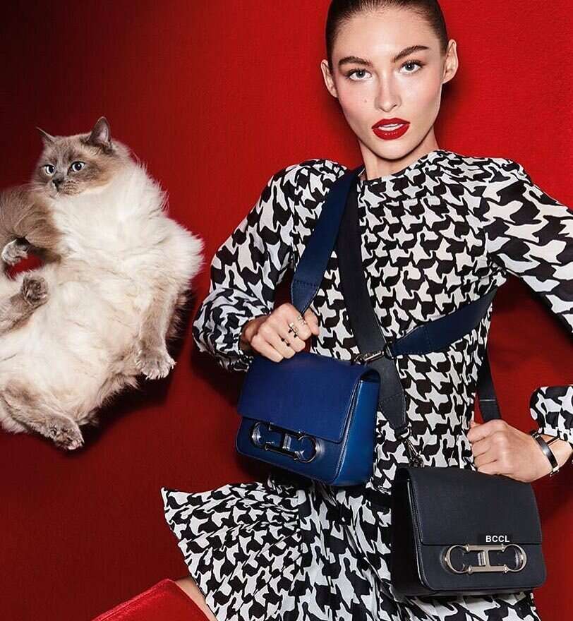 Know more about Victoria's Secret model Grace Elizabeth- The Etimes ...