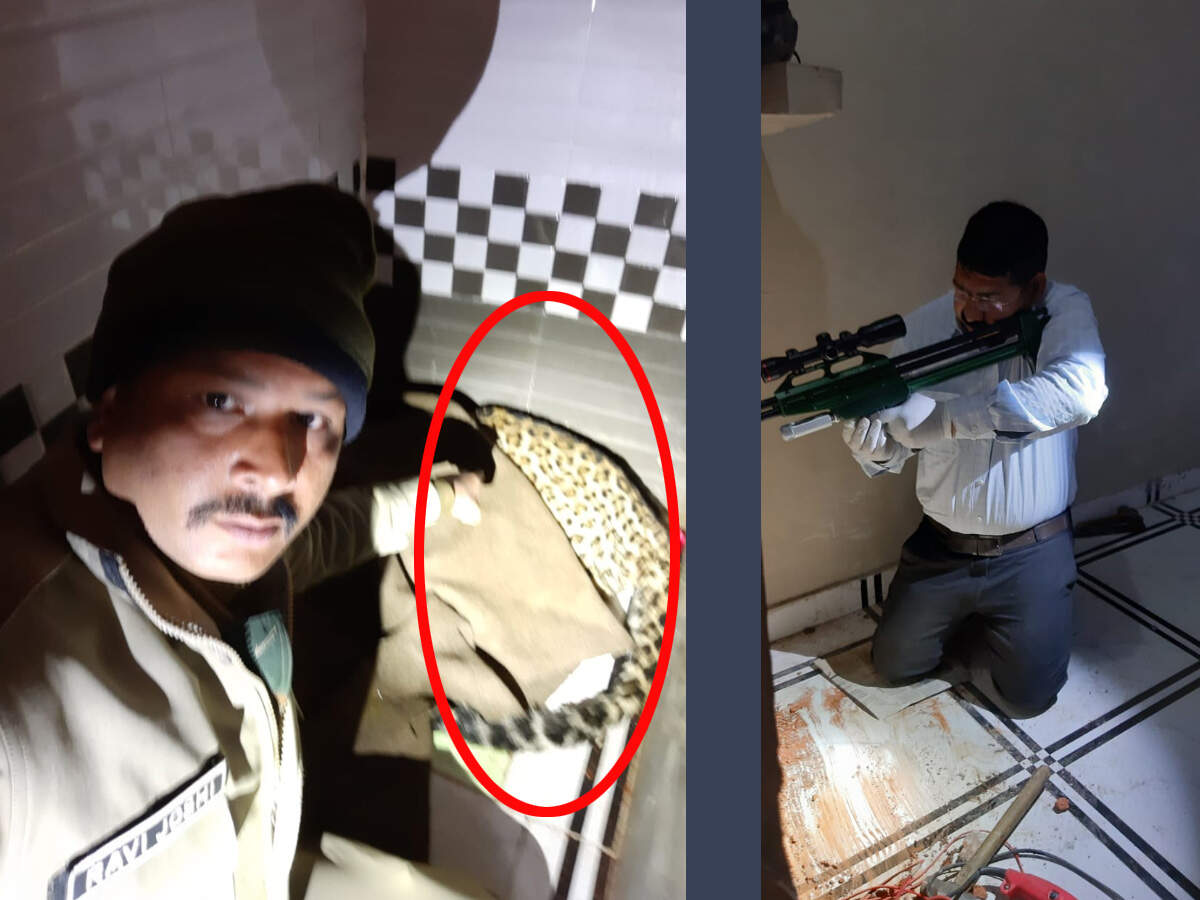 Leopard enters house in Rishikesh's Dhalwala, landlord locks it in bathroom