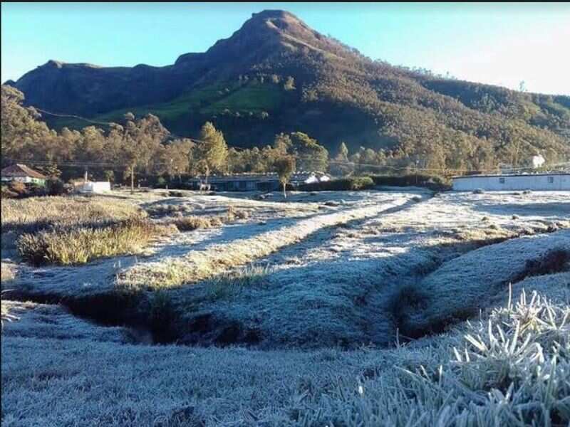 Photos: Munnar temperatures dip below zero, frost turns grasslands into ...
