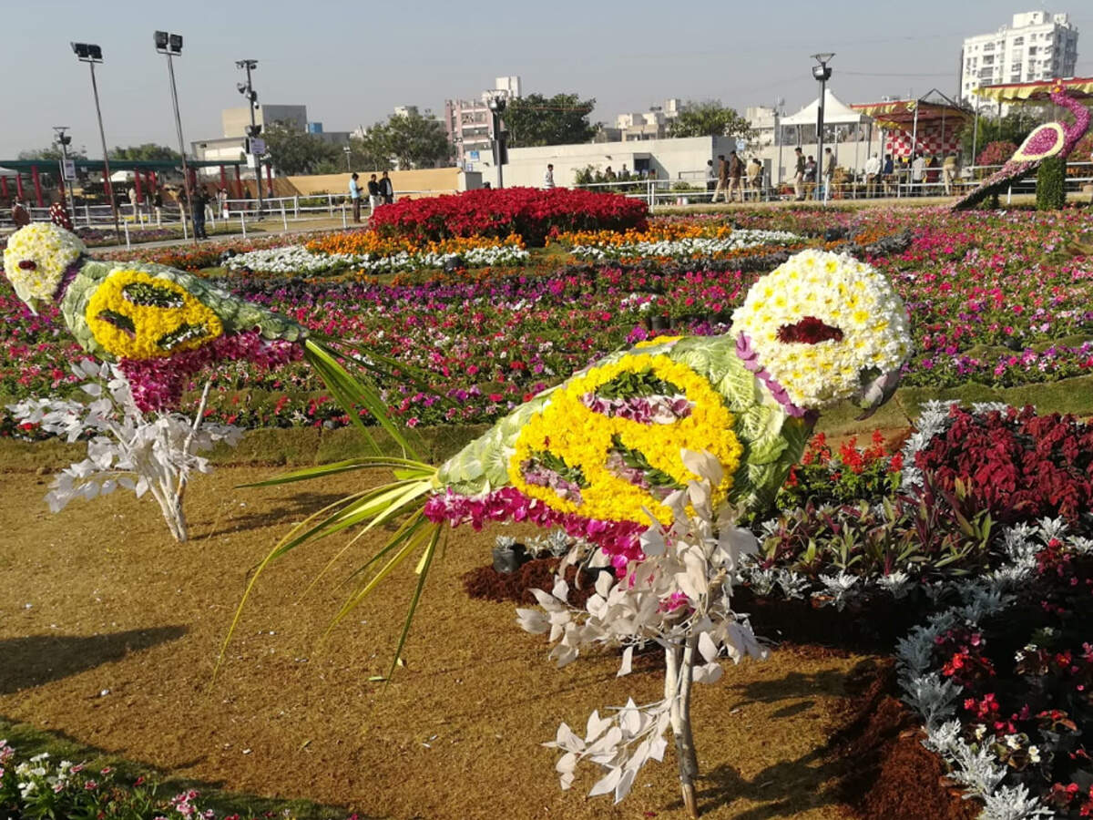 Ahmedabad: Flower show at Sabarmati Riverfront an opportunity to get ...