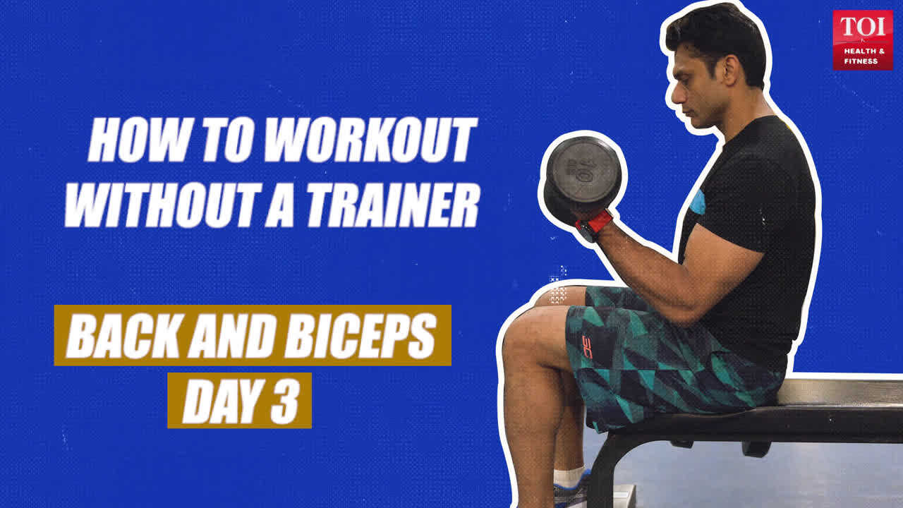How to workout in the gym without a trainer - Back and biceps workout ...