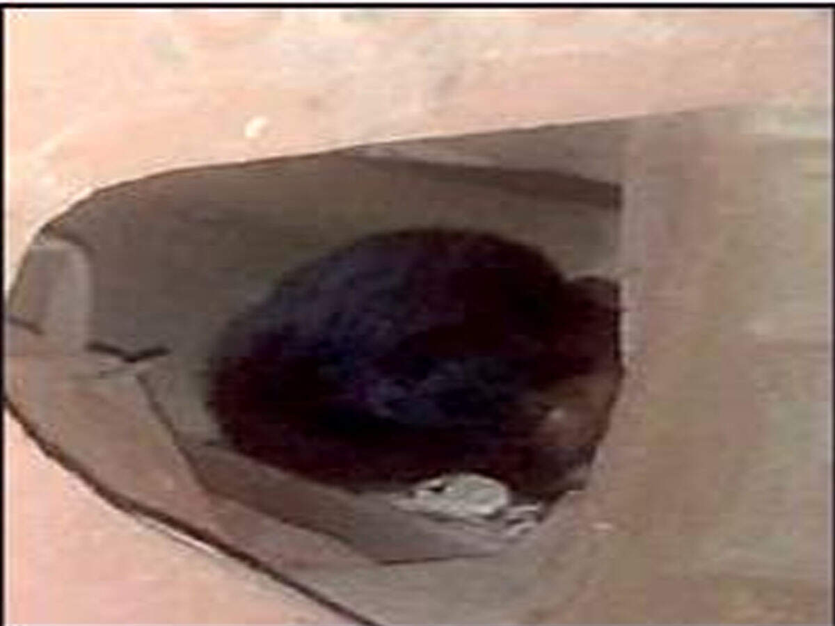 Shocking: Man’s decapitated head stuck in train engine during 3-hour ...