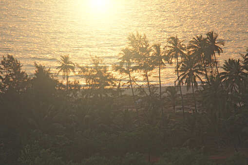 Otter, Monkey and Bat Islands—a rendezvous with the best-kept secrets ...