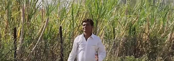 Sangi Re Movie: Showtimes, Review, Songs, Trailer, Posters, News ...