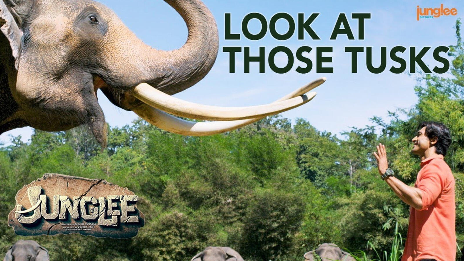 Junglee - Official Teaser