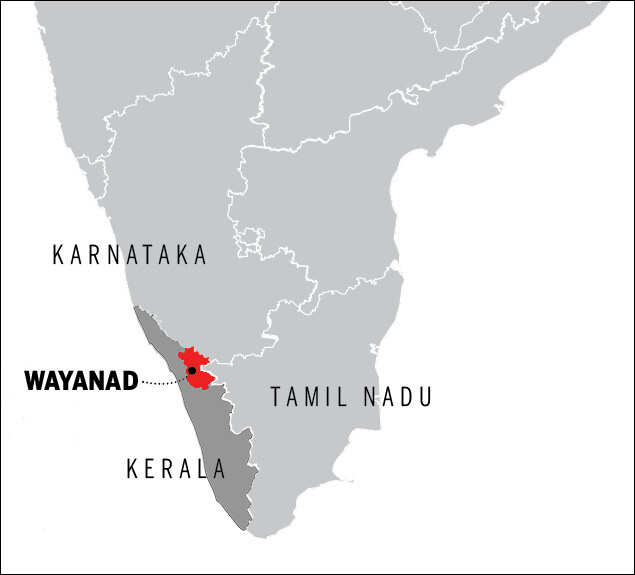 It's Wayanad's time under the sun but spotlight can't hide dark patches ...