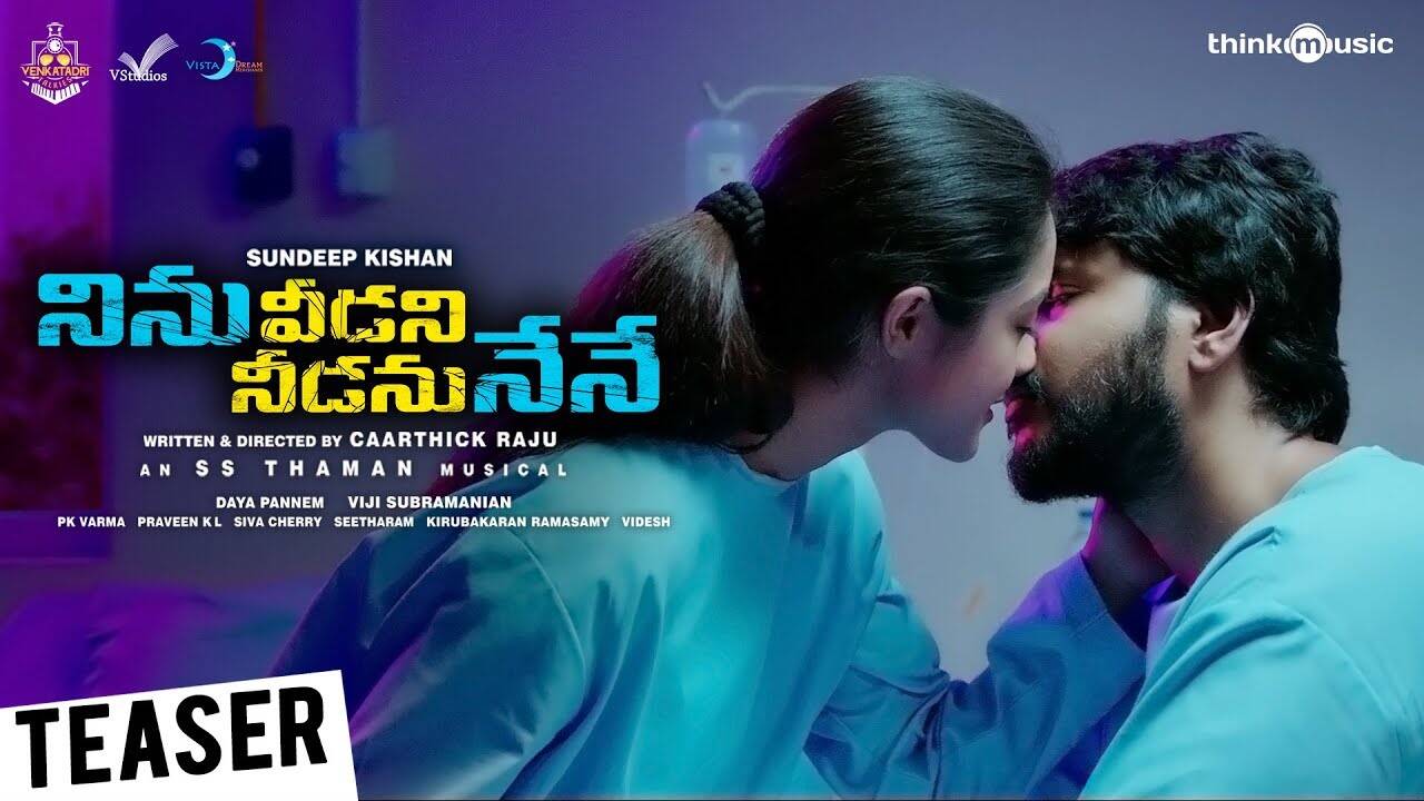 Ninu Veedani Needanu Nene - Official Teaser