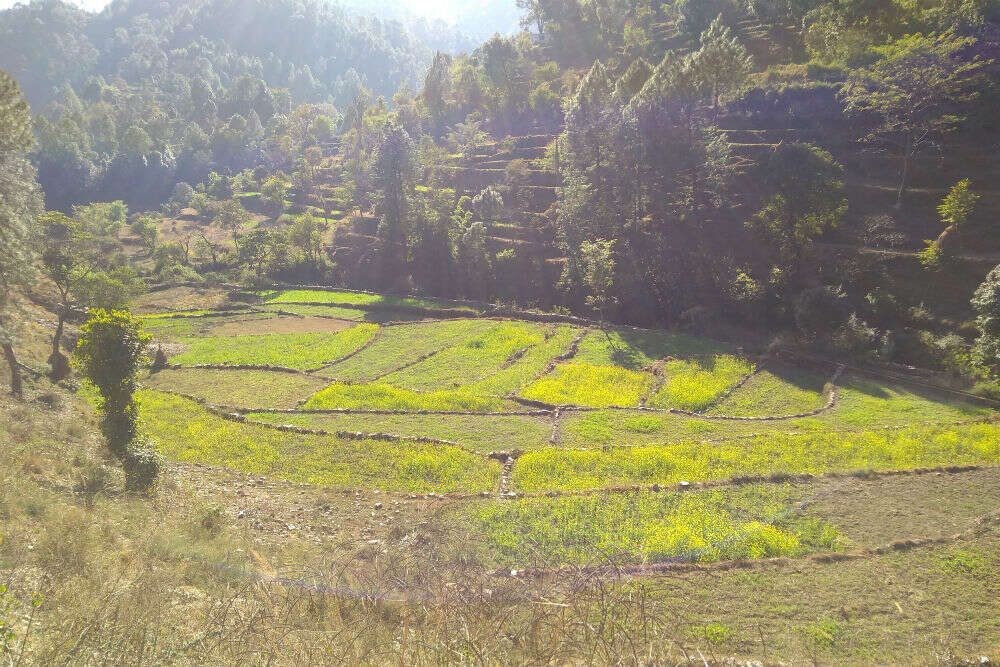 A destination called Raithal in Uttarkashi is a mini utopia | Times of ...