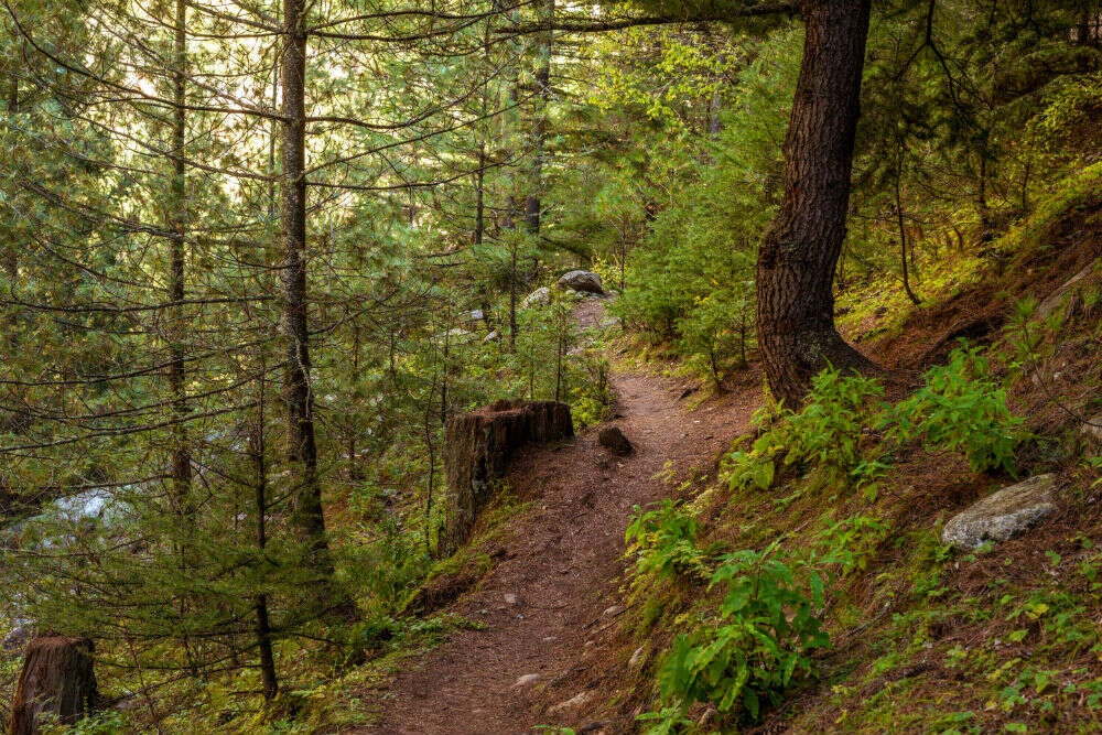 A destination called Raithal in Uttarkashi is a mini utopia | Times of ...