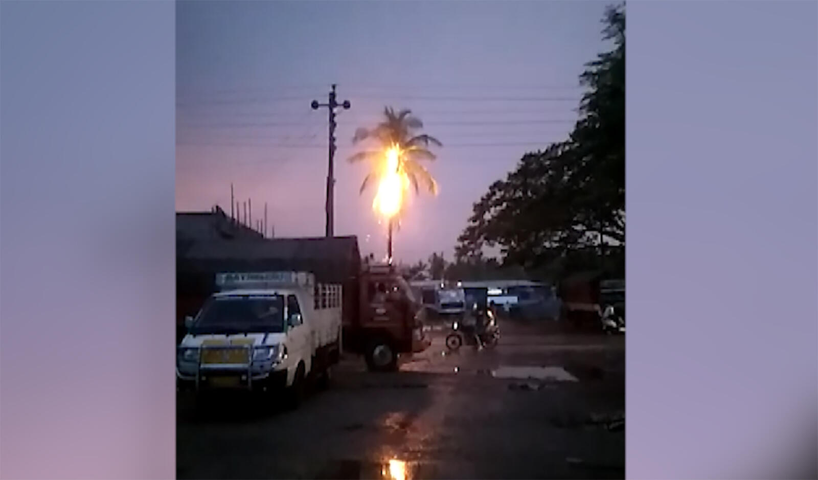 Watch: Coconut tree catches fire after lightning strikes