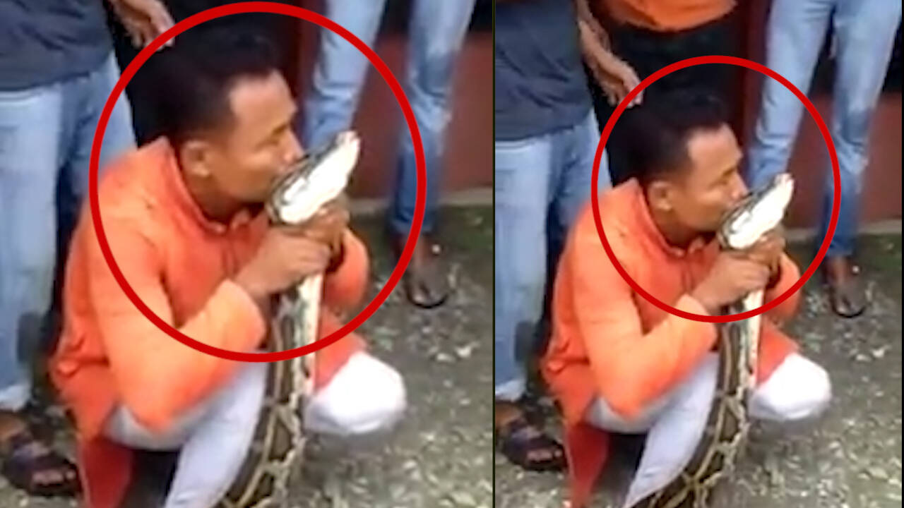 Man kisses the head of huge python captured by locals
