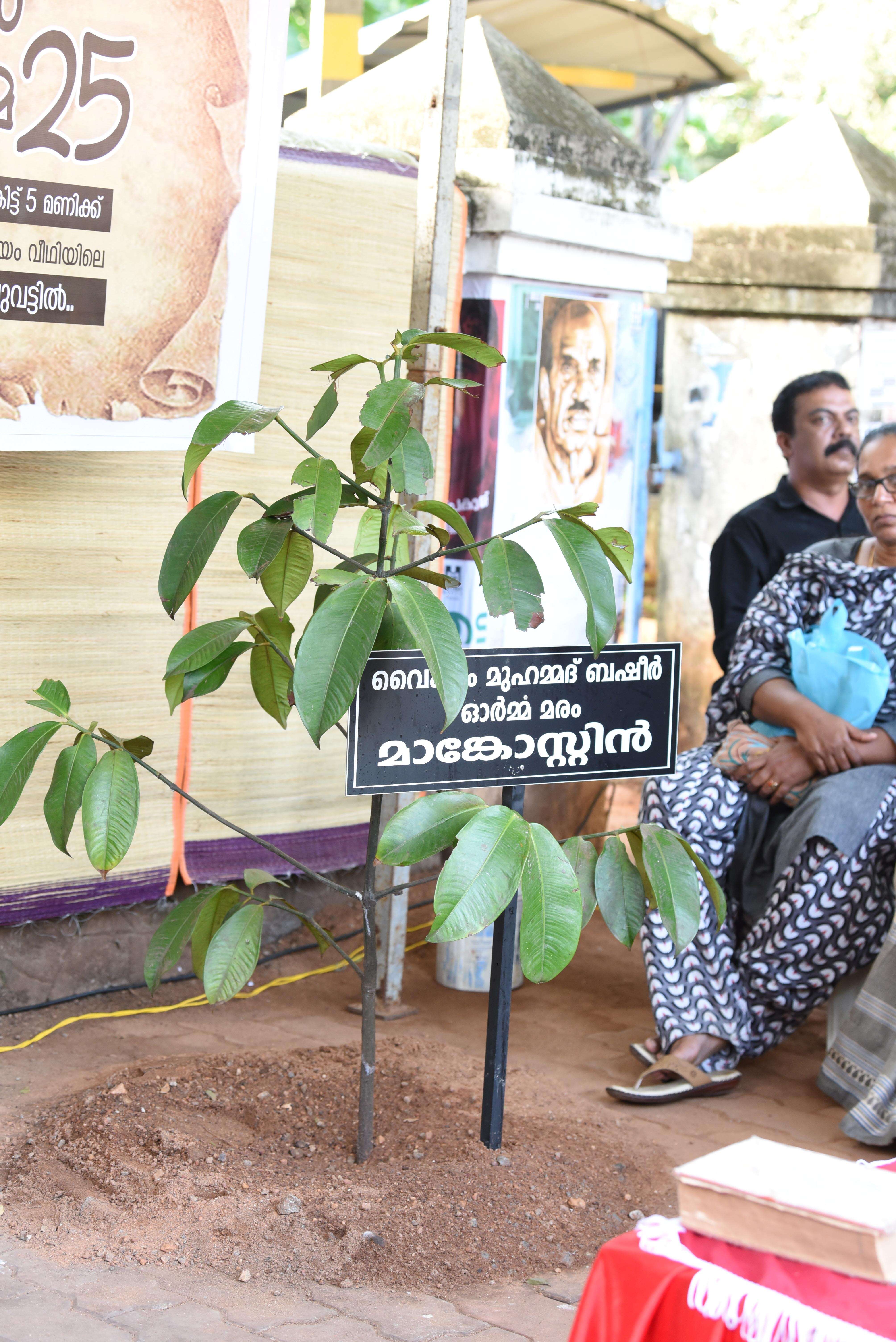 Remembering Beypore Sultan | Events Movie News - Times of India